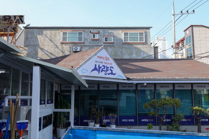 울산 삼산 맛집 사량도자연산횟집 삼산동 회포장 추천 네이버 블로그